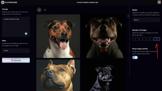 Playground - AI Tool for Creating Visuals from Text: Playground AI ...